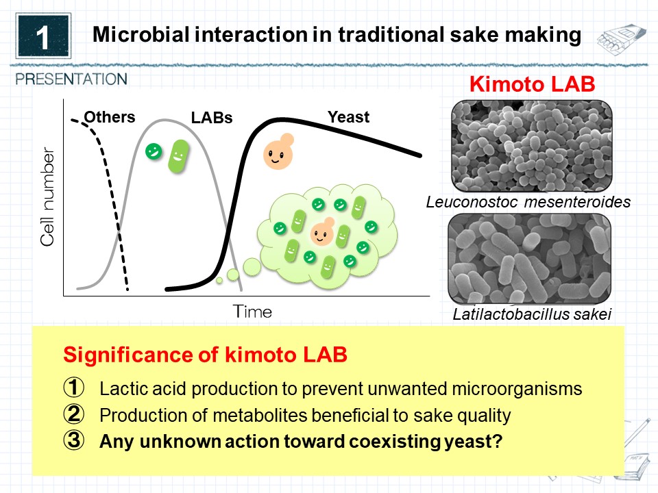2. Microbial Ecosystems in Traditional Fermented Foods – Microbial ...