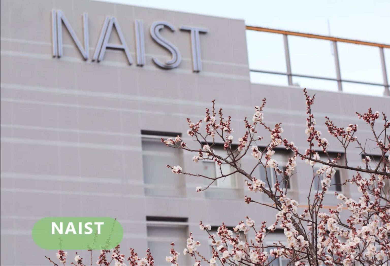 NAISTの風景 – 分子医学細胞生物学研究室